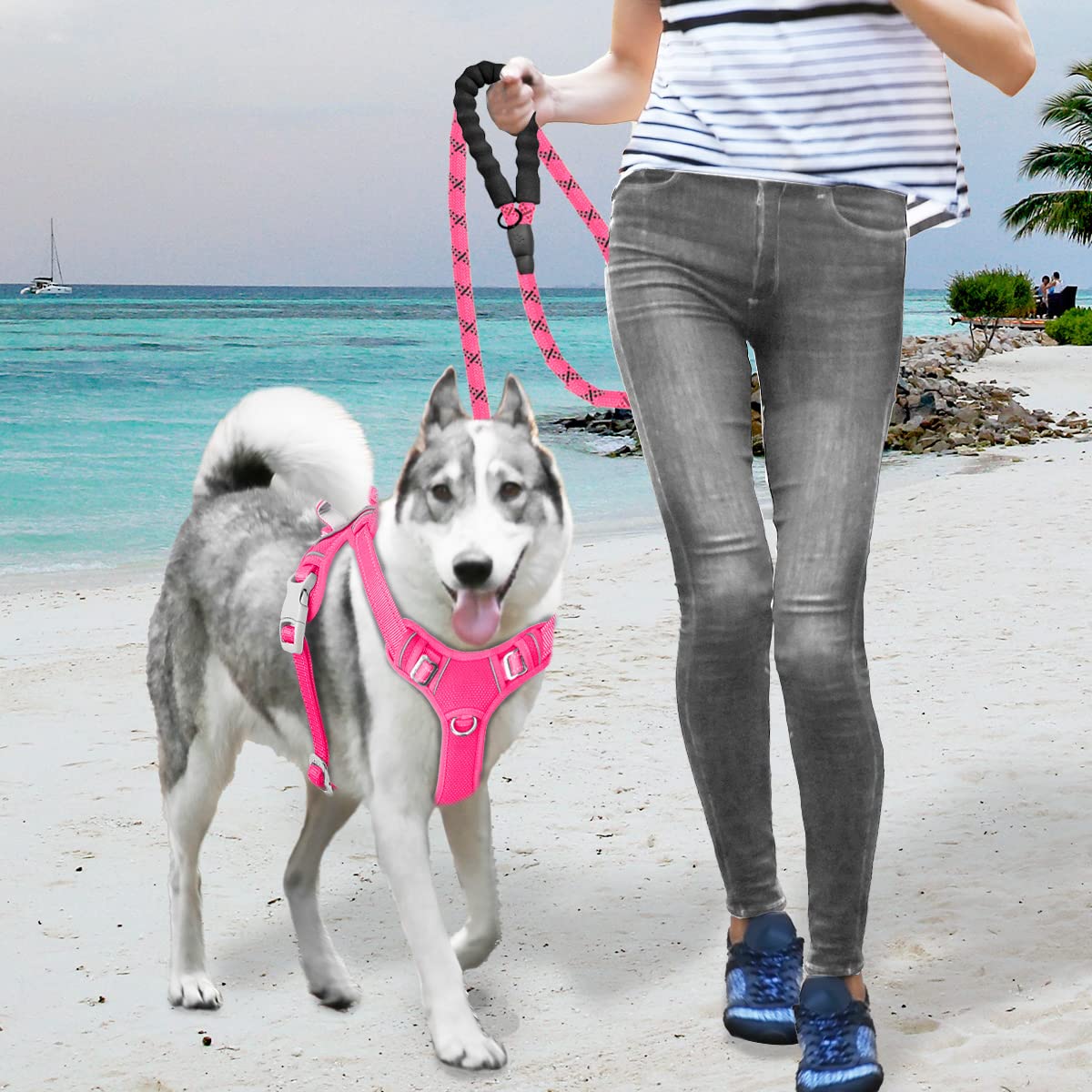 BARKBAY Dog Harness – Kinzd